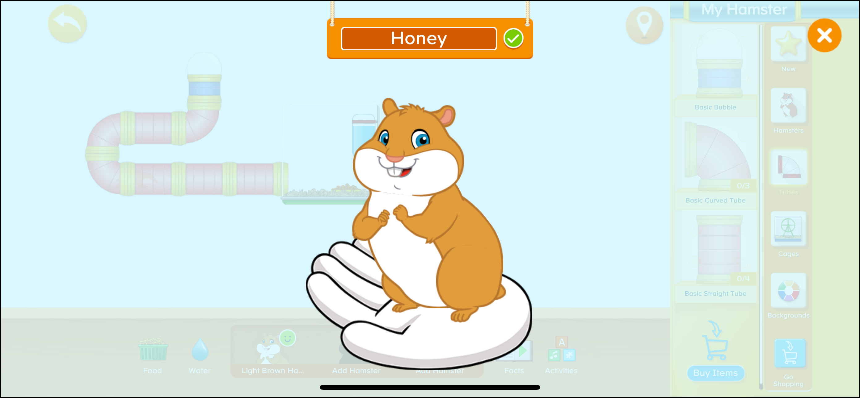 My Hamster Section in ABCmouse Classic – ABCmouse