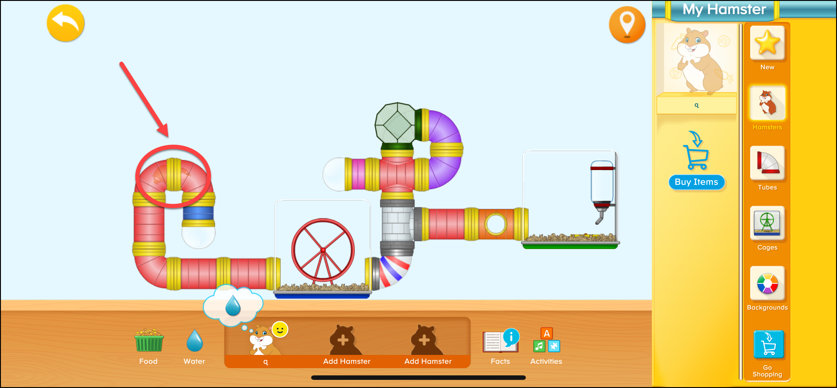 Where can my child find their missing hamster? – ABCmouse